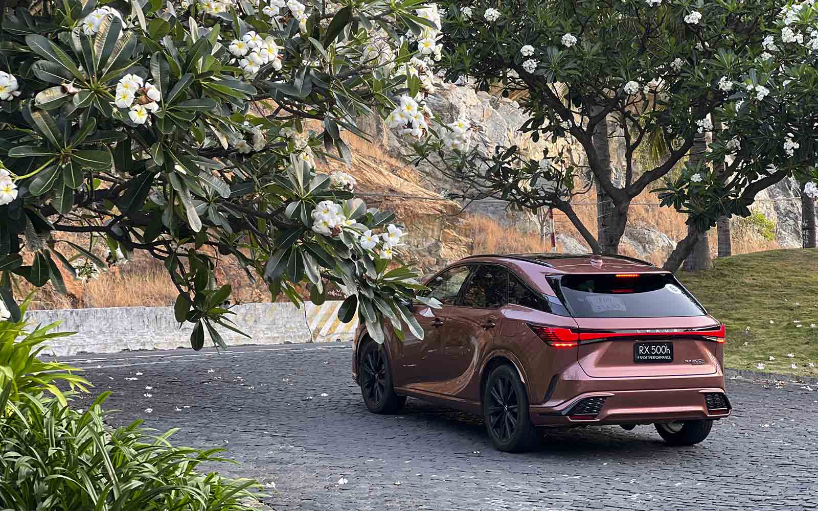 Lexus “Sense the Next Chapter”: Khi giác quan được “đánh thức”