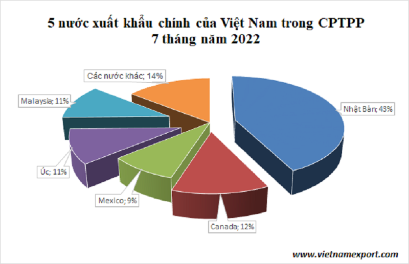 [E-magazine] Doanh nghiệp Việt Nam đang ở đâu trên “bản đồ” CPTPP?
