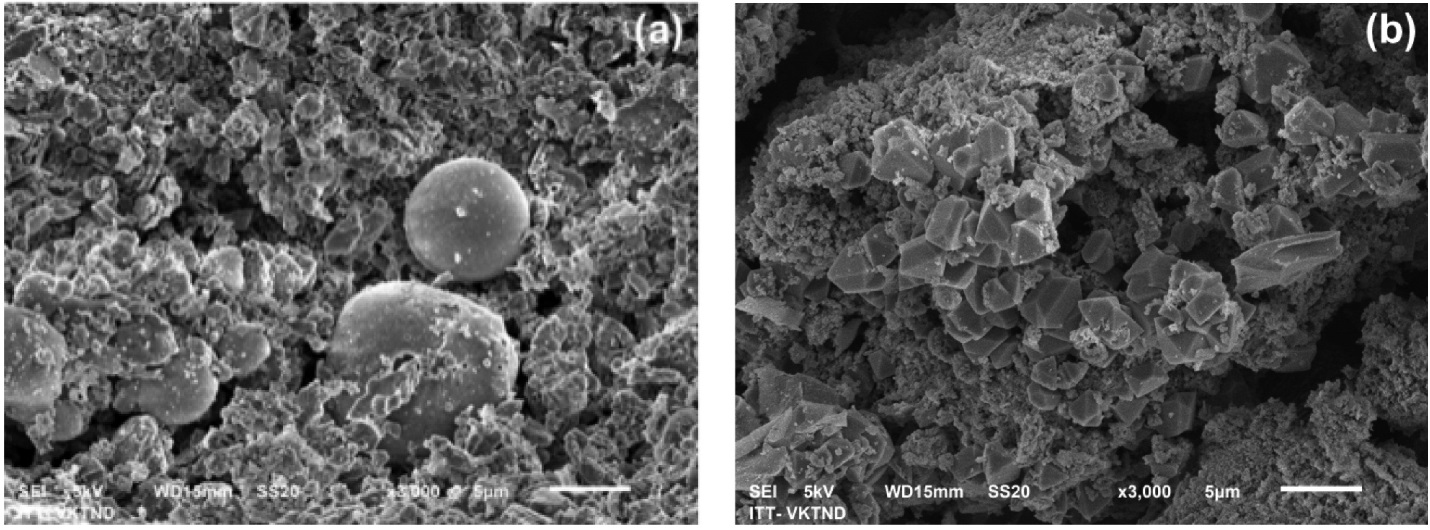 Modification of Zeolite Derived from Fly Ash and Its Application in ...