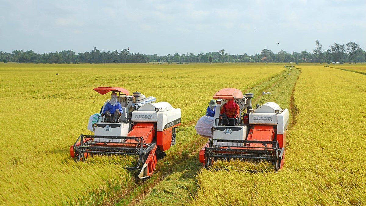 Giải quyết việc làm cho nông dân trong quá trình công nghiệp hóa, hiện ...