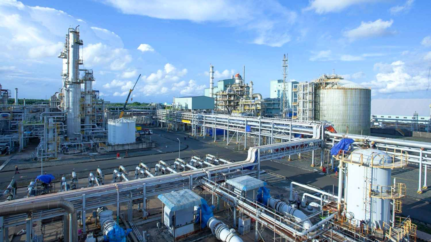 Đạm Cà Mau (DCM): Sản xuất khí công nghiệp, nghiên cứu xuất khẩu nông sản