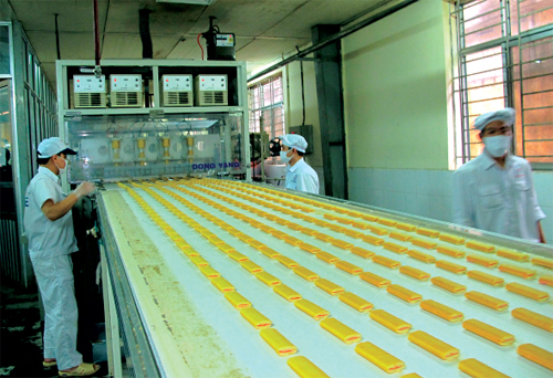 HAIHACO sản xuất gắn với bảo vệ môi trường để phát triển bền vững