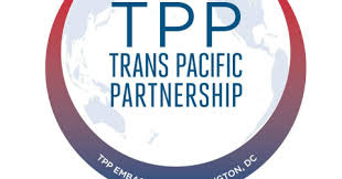 Many key exports to enjoy zero tariff in TPP markets