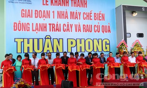 Launching factory processing frozen fruit and vegetable for export in ...