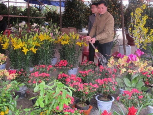 Japanese floriculture firm to invest in Lam Dong