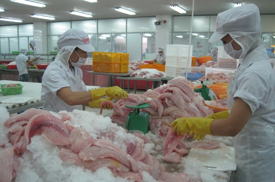 Food factory using Thai technology inaugurated in Ben Tre