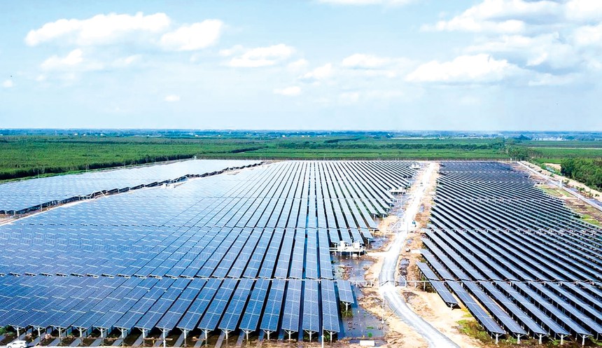 Bamboo Capital dự kiến kết quả kinh doanh Quý II/2022 tăng trưởng tích cực