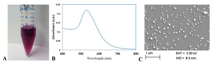 Developing gold nanoparticle-based biosensors for simple and fast ...